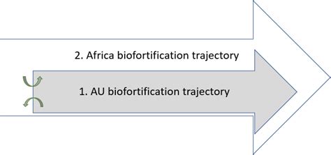 The Concept Of Nested Outcome Trajectories That Influence Each Other Download Scientific Diagram