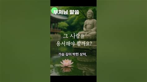 부처님 말씀 그 사람을 용서해야 할까요 부처님말씀 마음의등불 인생지혜 불교이야기 힐링 명언 Youtube