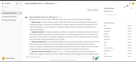 Setting System Prompt Sdsc Llm Documentation