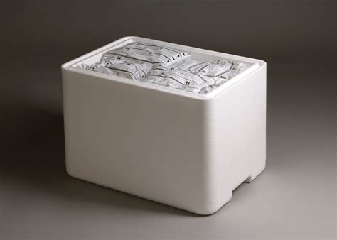 23 Kg Cryobag Trockeneis Nuggets Verpackt 800 G Beutel Cry25