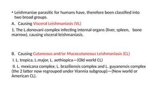 Comprehensive Overview Of Visceral Leishmaniasis Kala Azar