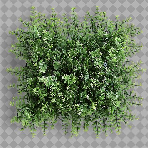 Nimblewill Grass With Sage Green Branches And Aqua Mixed Gra Png Green