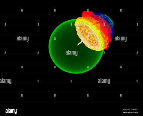 Green Dwarf Star Astronomers Discovered An Unusual White Dwarf Star