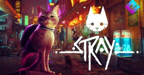 Stray Release Date And Timings In All Regions Gamespec