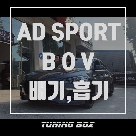 아반떼 스포츠 싱글 가변배기hks Sqv4 블로우 밸브hks 오픈흡기mands 엠엔에스 그릴 광주 튜닝박스 네이버 블로그