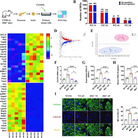 Rna Sequencing Was Performed To Identify The Differentially Expressed