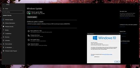 Download And Install Update Option Now Live In Windows 10 May 2019 Update Softpedia