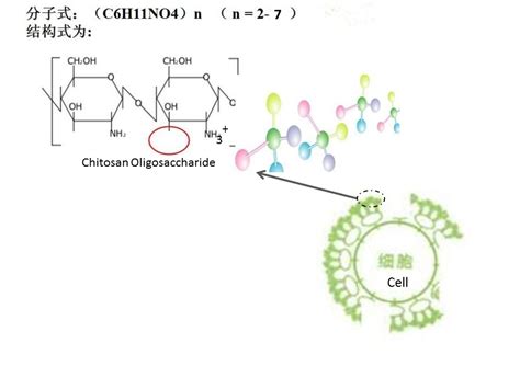 Chitosan Oligosaccharide Integrating Bio Control And Biostimulant