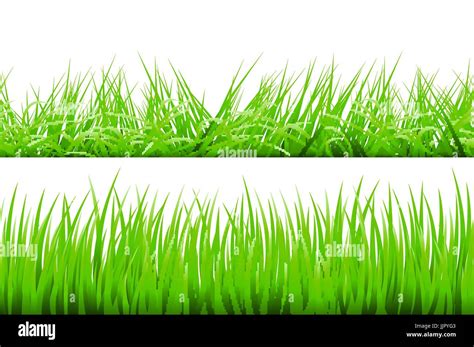 Green Grass Border Vector Illustration Art Stock Vector Image And Art Alamy