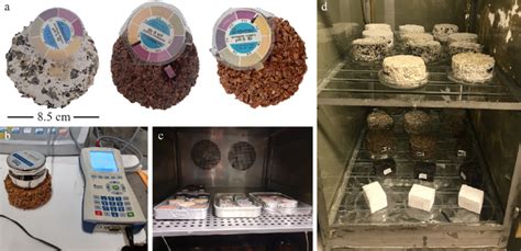 Main Tests Of The Experimental Campaign A Analysis Of The Ph By
