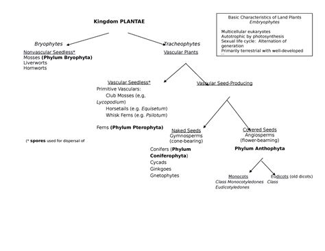 Plants Flow Chart 1 Review Materials Kingdom Plantae Bryophytes