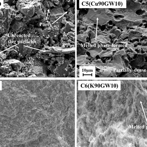 Sem Micrographs Of The Fractured Surfaces Of The Reference Samples And