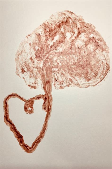 Placenta Art Artofit