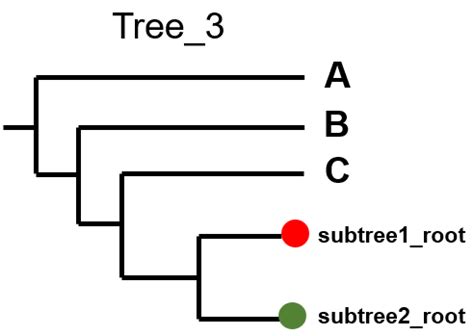 Joining Subtree Of HAL Alignments Issue ComparativeGenomicsToolkit Cactus GitHub