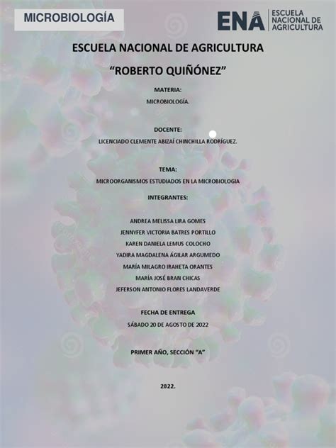 Mapa Mental Pdf Microorganismo Las Bacterias