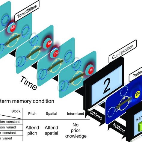 Schematic Representation Of The Pitchlocation Stimulus Sequence