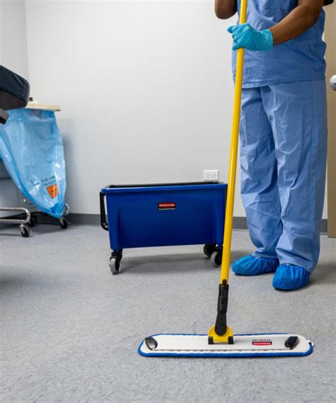 Terminal Cleaning Bee Line