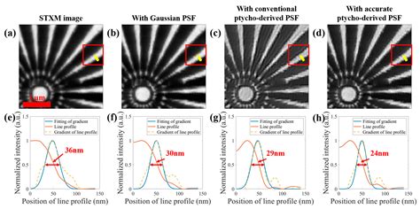 Enhanced Imaging In Scanning Transmission X Ray Microscopy Assisted By
