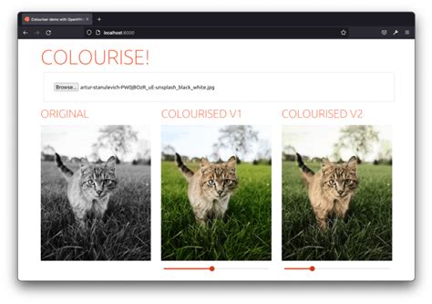 how to colorize pictures with openvino™ on ubuntu containers docker