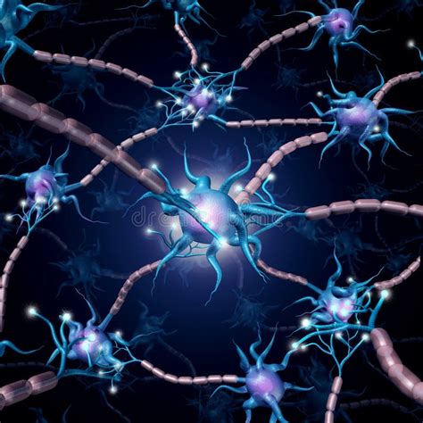 Neuron Brain Connection Stock Illustration Illustration Of Data 67482573