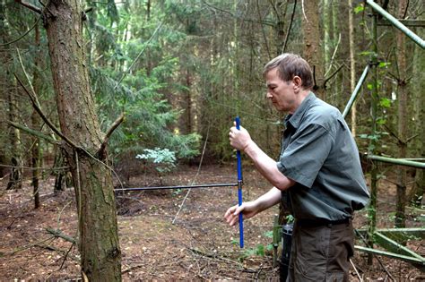 Climate Change How Trees Adapt Research In Poland