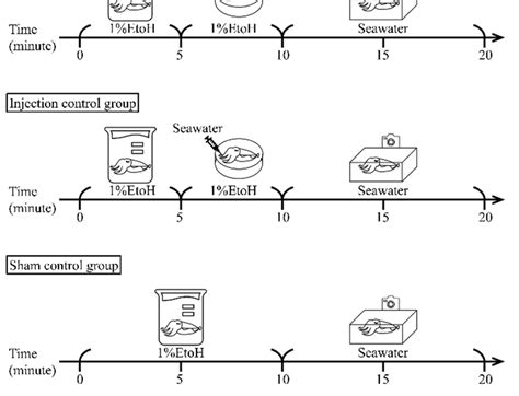 A Schematic Showing The Experimental Design Download Scientific Diagram