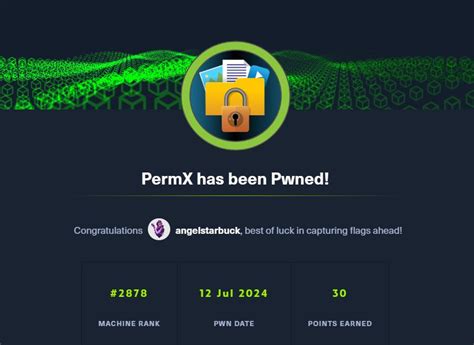 Hackthebox Htb Exploit Pentest Lab Webhacking