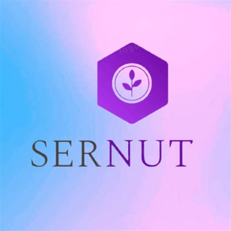 Ser Nut Chile Santiago