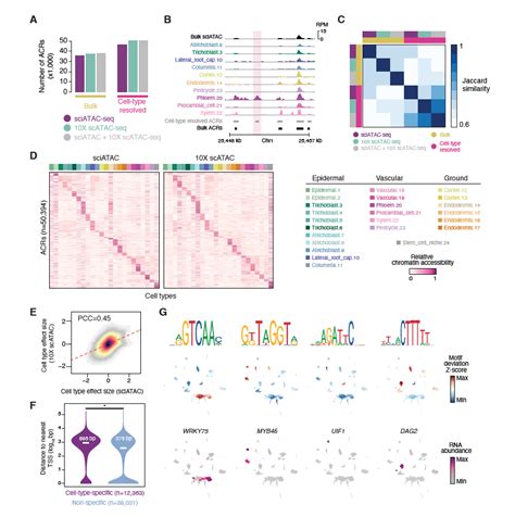 Molecular Plant And Plant Communications On Twitter A Combinatorial