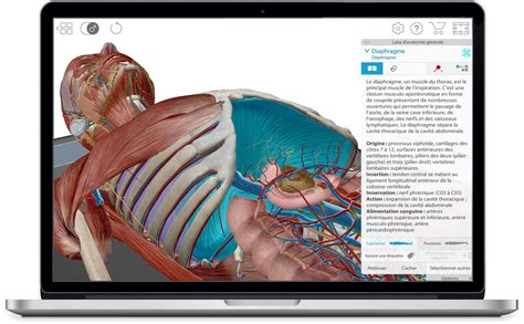 Visible Body 3d Human Anatomy Atlas