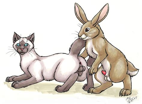 Rule 34 Anus Ass Backsack Balls Conditional Dnp Erection Feline Feral