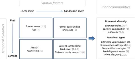 Conceptual Model Of The Study Diversity Of The Spatiotemporal Context Download Scientific