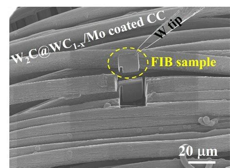 Figure S5 Fesem Image Of The Fib Sample Of W 2 C Wc 1 X Mo Multilayer