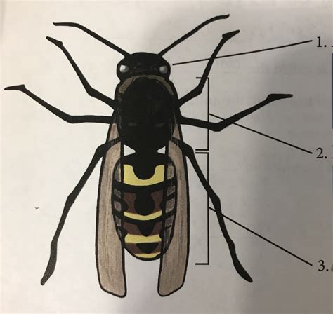 Grade 4 Science Quiz Pg 25 26 Diagram Quizlet
