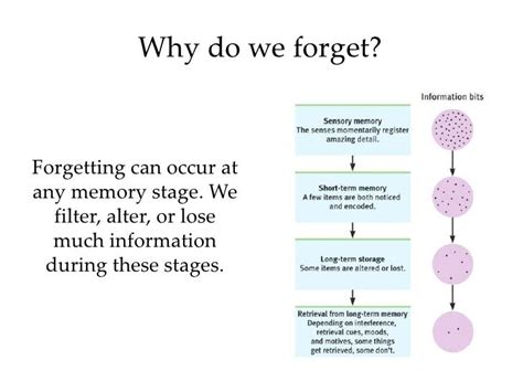 Forgetting Psychology