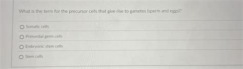 Solved What Is The Term For The Precursor Cells That Give
