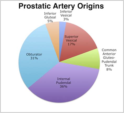 Mp18 05 Prostatic Arterial Variants Lessons Learned From Interventional Radiology Journal Of