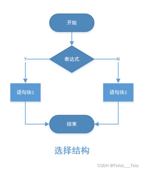 c语言基础：选择与循环语句详解 csdn博客