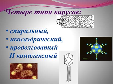 Вирусы неклеточные формы жизни презентация онлайн