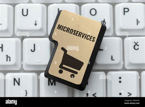 Text Caption Presenting Microservices Concept Meaning Software Development Technique Building