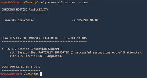 testing ssl tls certificates sslyze vk9 security