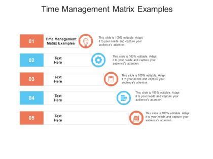 Time Management Matrix Examples PowerPoint Presentation And Slides PPT Sample SlideTeam