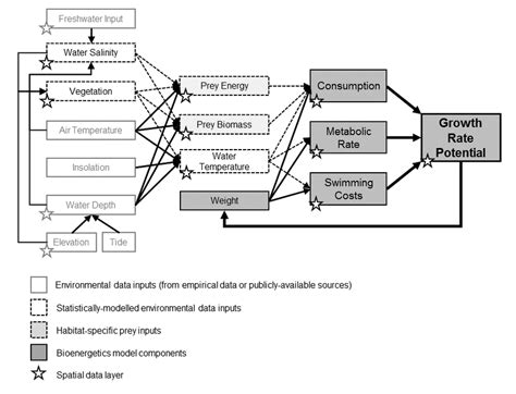 3 Conceptual Diagram Showing The Hierarchical Structure Of A Spatially