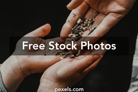 software development life cycle sdlc photos download the best free