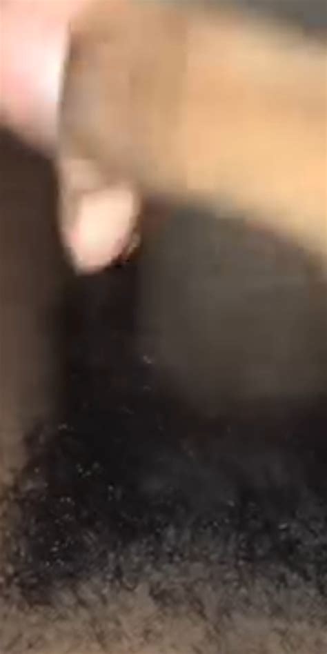 Black Trade Thisvid Com