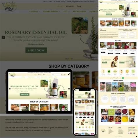 Develop And Fix Umbraco Cms Service At Rs 5000month In New Delhi Id