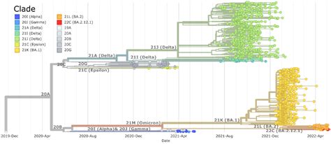 Genomic Surveillance Of Sars Cov 2 Sequence Variants At Universities In Southwest Idaho