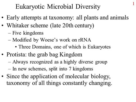 Ppt Eukaryotes Unicellular Or Multicellular Very Varied Cell Ppt To