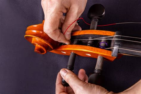 Cello Care And Maintenance Guide Sweetwater