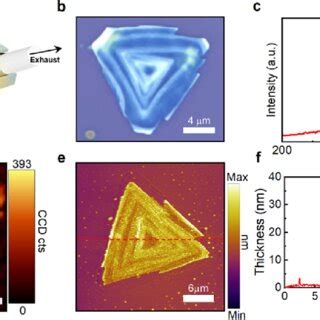 Growth And Characterization Of CVD Grown WSe A Schematic Of A CVD Download Scientific